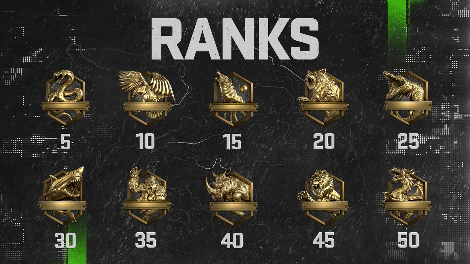 Everything you Need to Know About MW2 Ranked Play