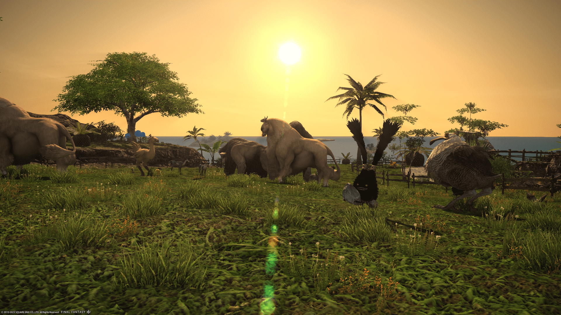 FFXIV Island Sanctuary Leveling Guide
