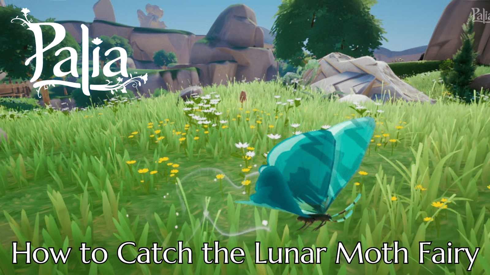 How to Find and Catch the Lunar Fairy Moth in Palia – Esports News Network | ESTNN