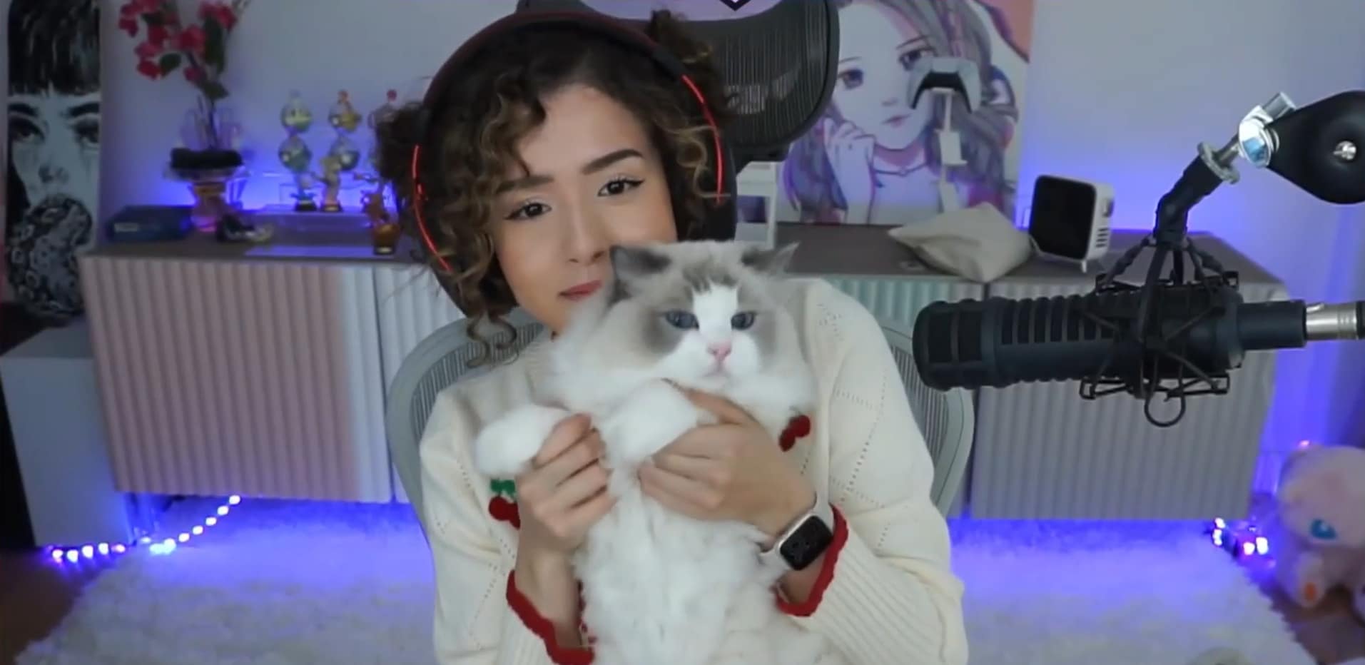 The Top 5 Streamers With The Best Backdrops In 2023!