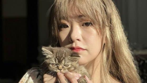 The 5 Most Epic Streamer Moments Of All Time!