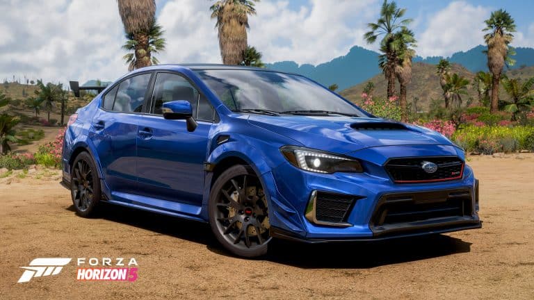 Best Rally Cars Forza Horizon 5 You Must Try