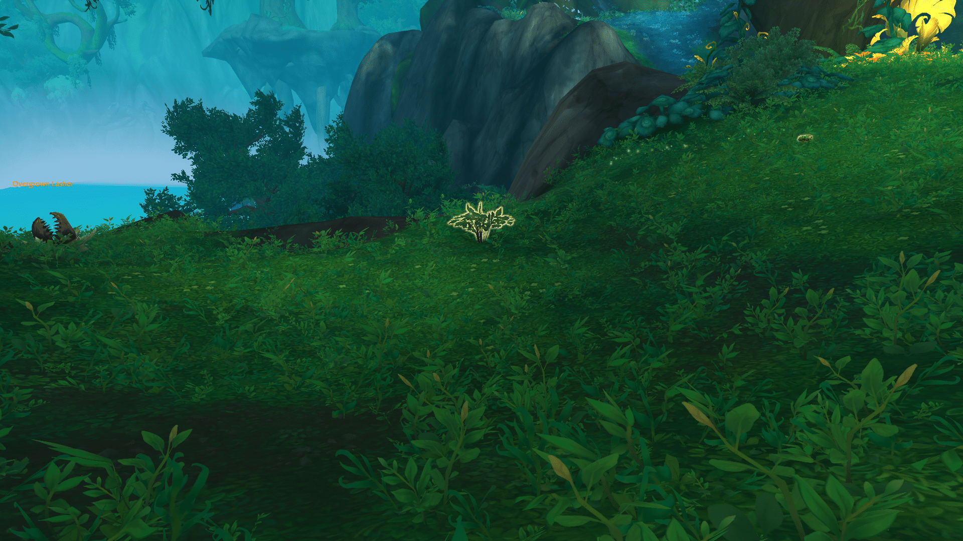 How to Find Dreamseed Dragonflight 10.2 Emerald Bounty
