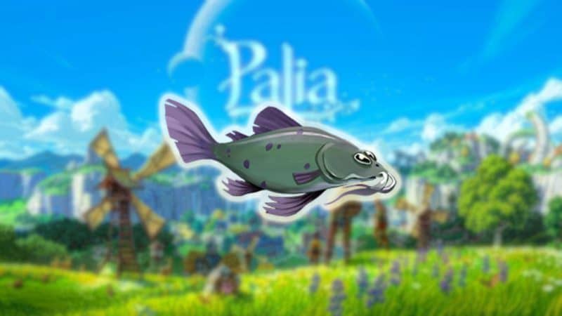 How to Catch Channel Catfish Palia Guide - LB Kayak Bait and Tackle Inc