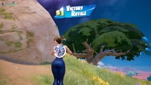 Fortnite Servers - All 8 Locations and Why Ping is Important