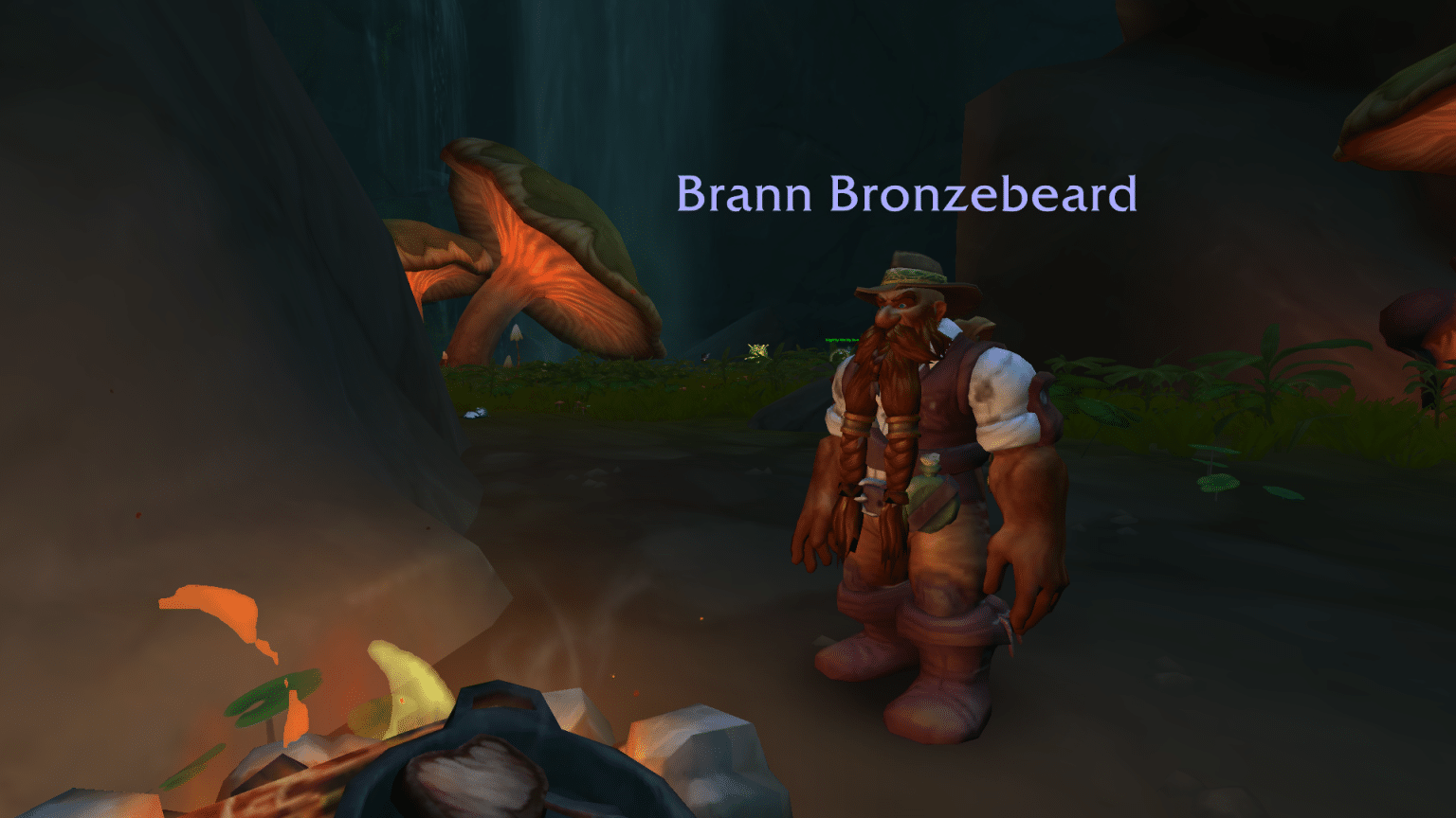 Best Builds for Brann Bronzebeard for Delves