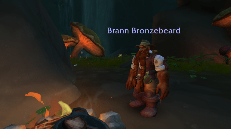 Best Builds for Brann Bronzebeard for Delves